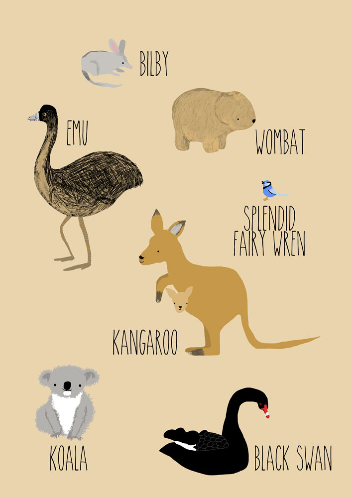 Australian-Animals – Illustrations by Jess Racklyeft