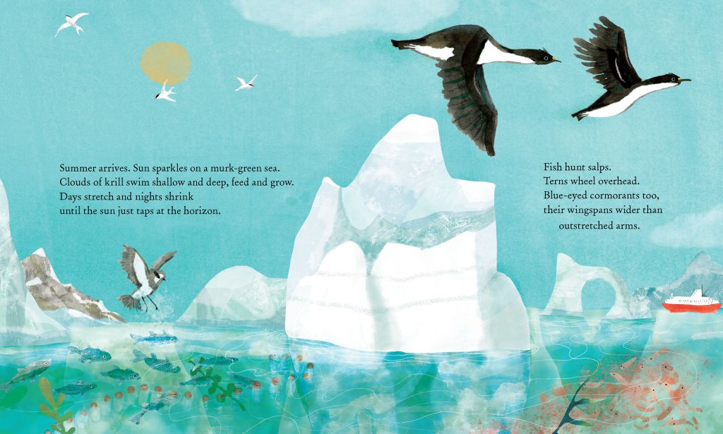 Illustrations by Jess Racklyeft – Illustrations by Jess Racklyeft
