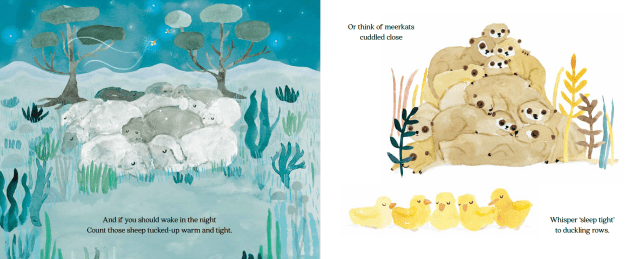 Blog | Jesses Mess | Illustrations by Jess Racklyeft